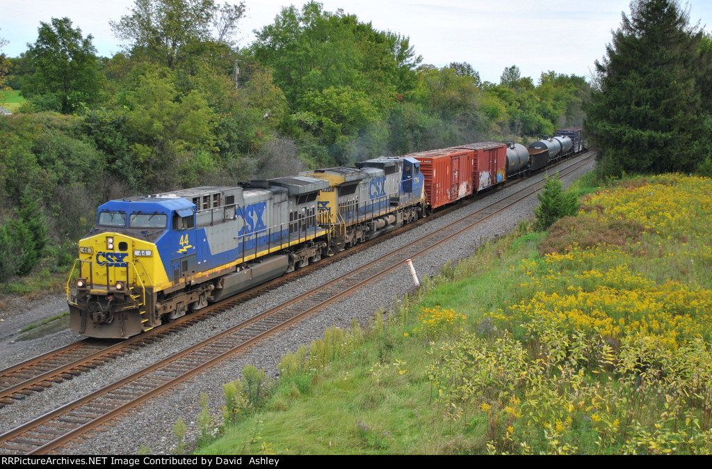CSX Q263